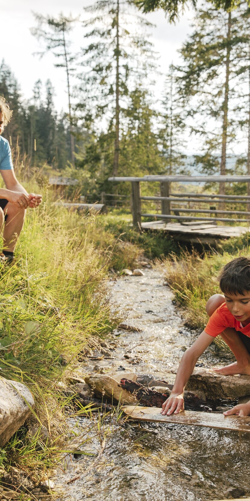 Hiking and skiarea Carezza in Val d’Ega/Alto Adige
