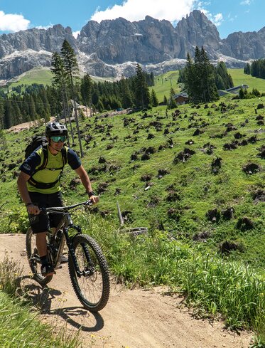 Hiking and skiarea Carezza in Val d’Ega/Alto Adige