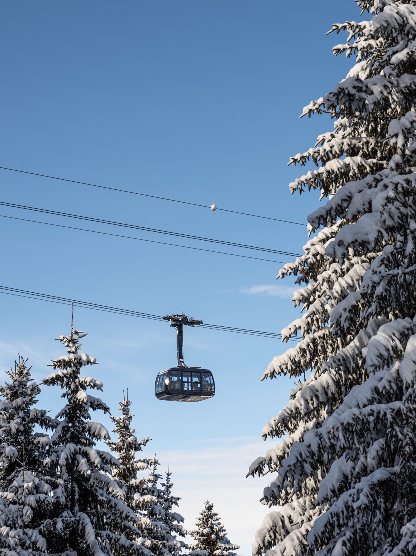 Carezza Dolomites - Winter Prices 2025 - 2026