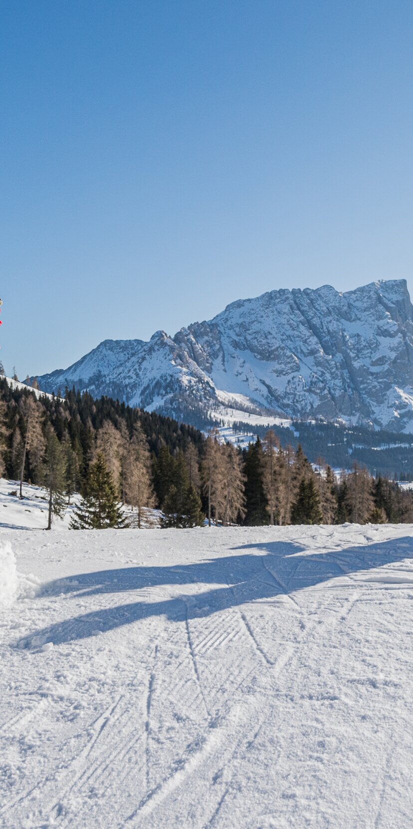 Hiking and skiarea Carezza in Val d’Ega/Alto Adige