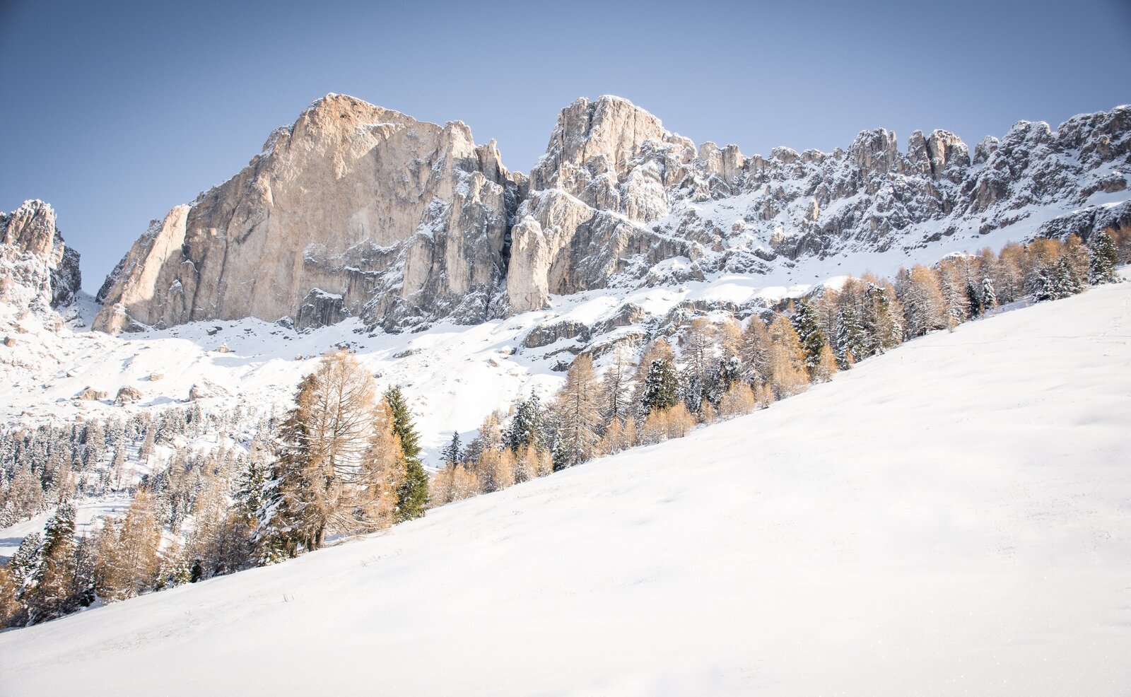 Scuole da sci a Carezza - imparare a sciare nelle Dolomiti